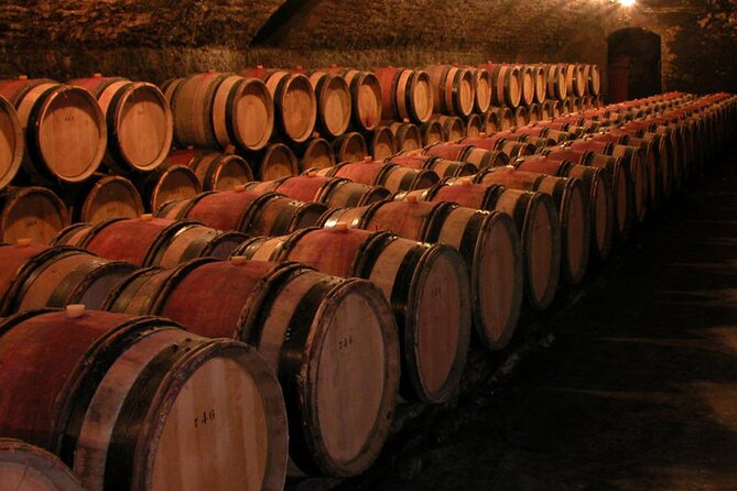Full Day Private Tour 10 Premiers & Grands Crus, The Best of Burgundy - Guest Reviews and Feedback