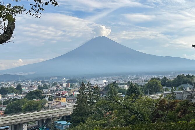 Full Day Private Tour in Mount Fuji and Hakone - Additional Information