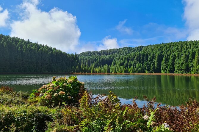 Full Day Private Tour West & East in São Miguel Island - Pickup and Meeting Details