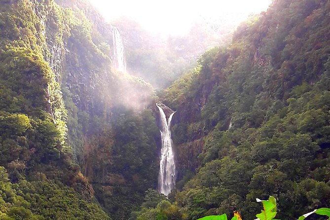 Full-Day Rabaçal Levada Walk From Funchal - Navigating the 16th-Century Levada Trail