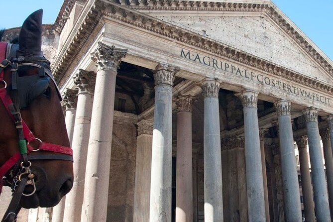 Full Day Rome Tour - Accessibility & Participation