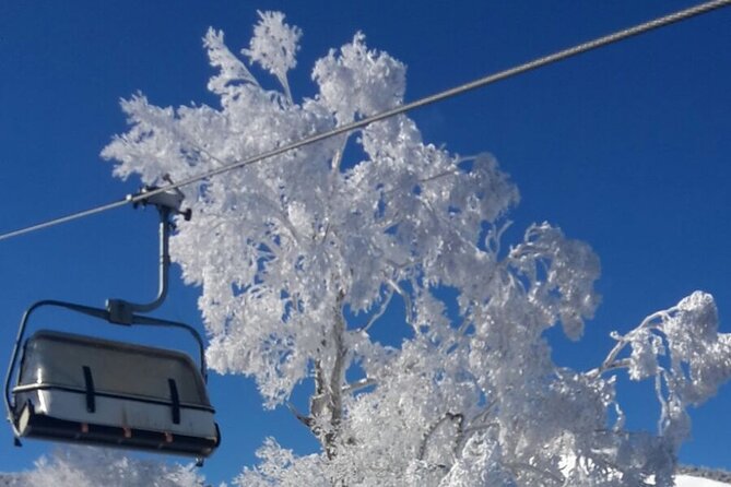 Full Day Ski Lesson (6 Hours) in Yuzawa, Japan - Lesson Features