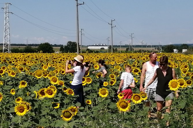 Full-Day Small-Group Tour of Bulgaria by Minivan With Lunch - Pickup and Logistics