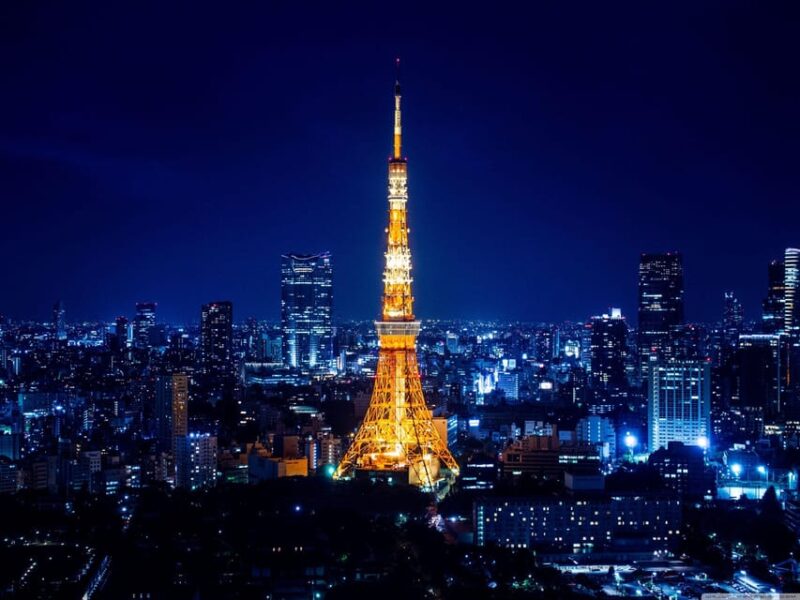 Full Day Tokyo Customize Unforgettable Private Tour - Discover the Spiritual Essence of Meiji Shrine