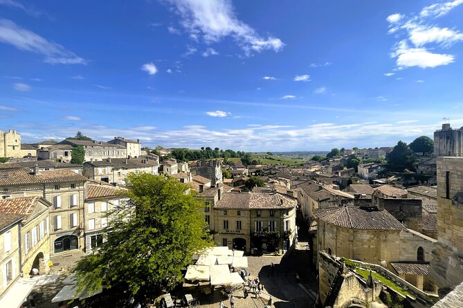Full Day Tour Growth Classified Chateau and Village Saint Emilion - Picnic Lunch in the Château Garden