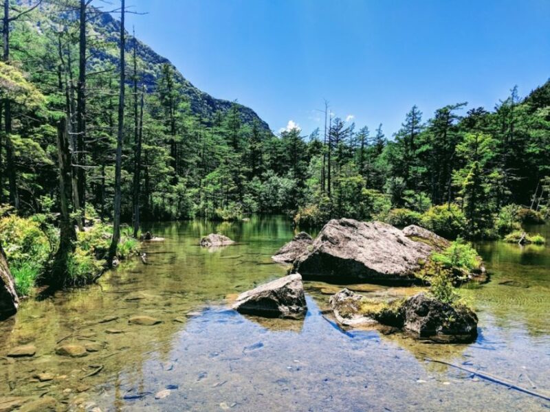 Full-Day Tour: Matsumoto Castle & Kamikochi Alpine Valley - Highlights and Activities