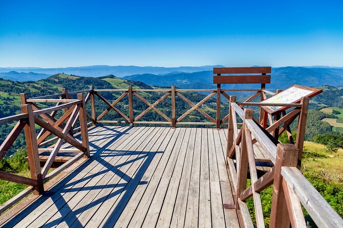Full-Day Trip From Belgrade: Tara National Park & the Drina River Valley - Itinerary and Experience