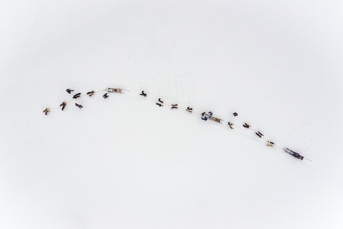 Fun & Easy Dog Sledding Adventure - Early Bird 08:10 - Customer Feedback and Reviews