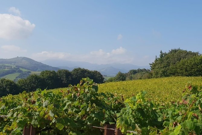 Getaria Txakoli Wine Tour Review - Tasting and Pairing