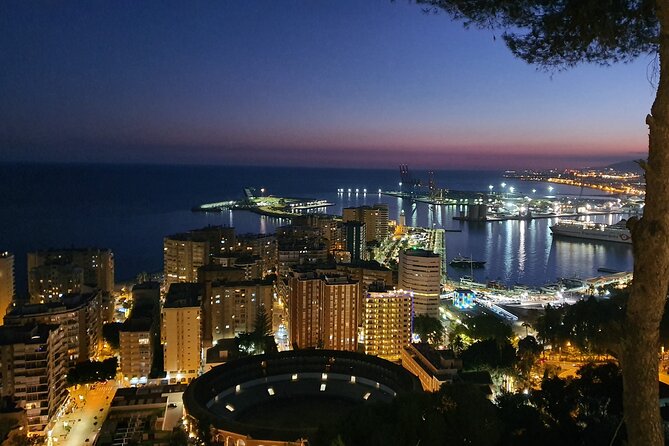 Gibralfaro Castle, Port and Bullring Segway Tour - Additional Information