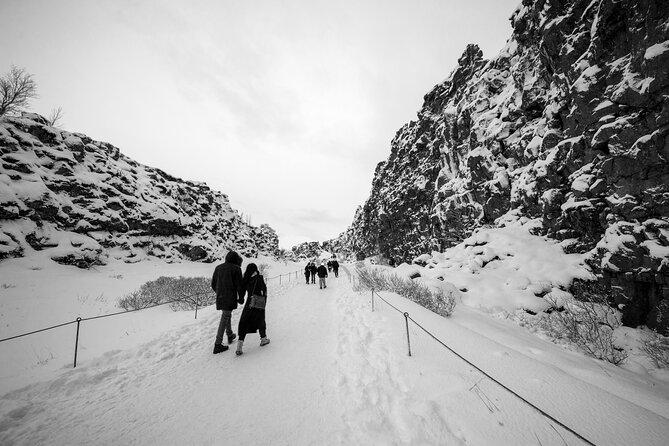 Golden Circle, Secret Lagoon and Northern Lights Tour - Included Features