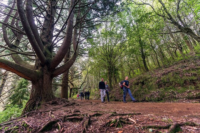 Green Cauldron Levadas Walk in Madeira - Meeting and Pickup Details