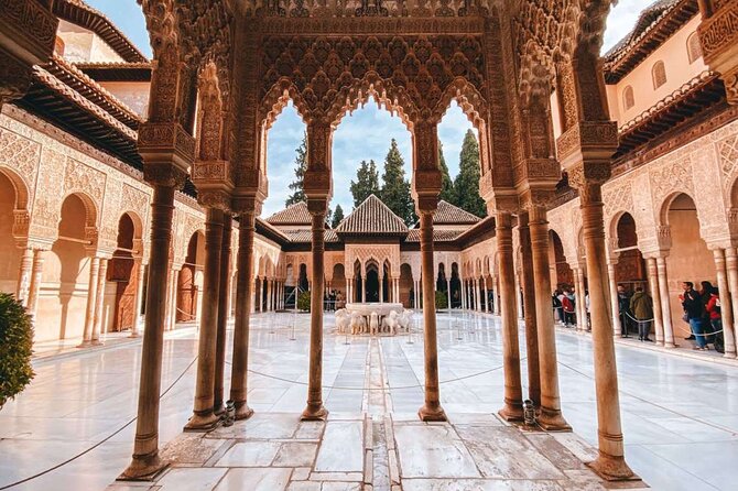 Group Visit to the Alhambra and Generalife (Tickets Included) - Visitor Experiences and Feedback