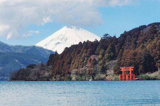 Guided 2 Days Tour Tokyo ,Mt Fuji and Hakone GREEN NUMBER PLATES - Accessibility and Participation