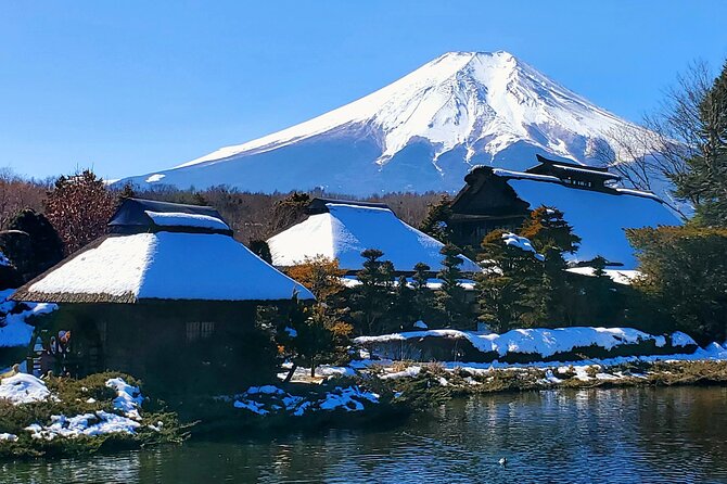 Guided Private Mt. Fuji and Hakone Tour GREEN NUMBER PLATES - Inclusions and Costs
