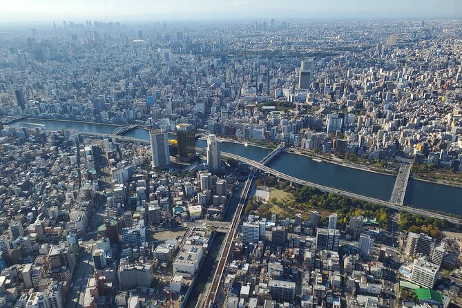 Guided Tokyo Private Tour GREEN NUMBER PLATES - Accessibility and Participation