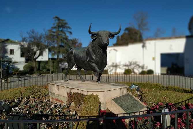 Guided Tour of Ronda - Exploring the Historic City of Ronda