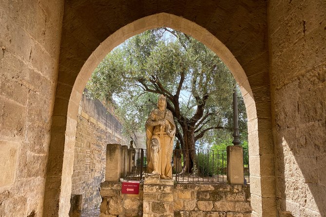 Guided Tour of the Alcazar of the Christian Monarchs - Accessibility and Participation Information