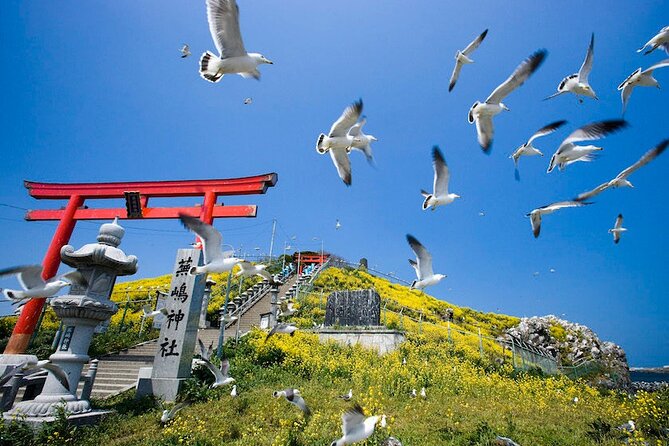 Hachinohe Full-Day Private Trip With Government-Licensed Guide - Accessibility and Participation