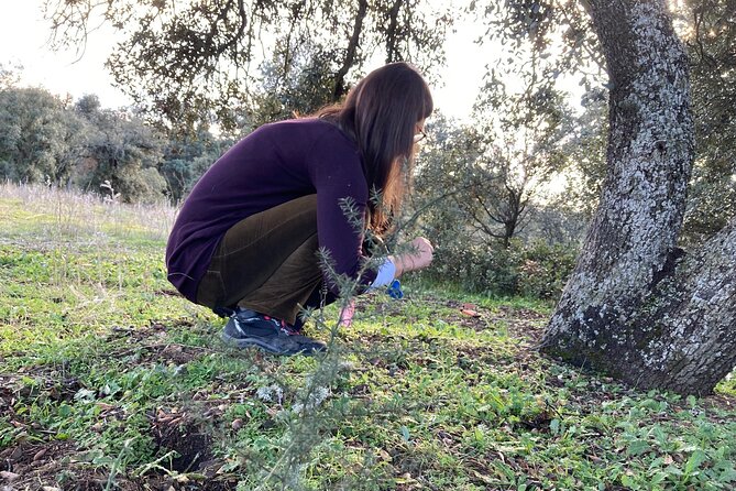 Half Day Gastronomic Wild Walk in Girona - Preparing the Wild Tapa