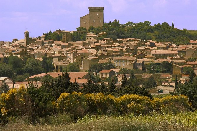 Half Day Great Vineyard Tour From Avignon - Reviews and Feedback