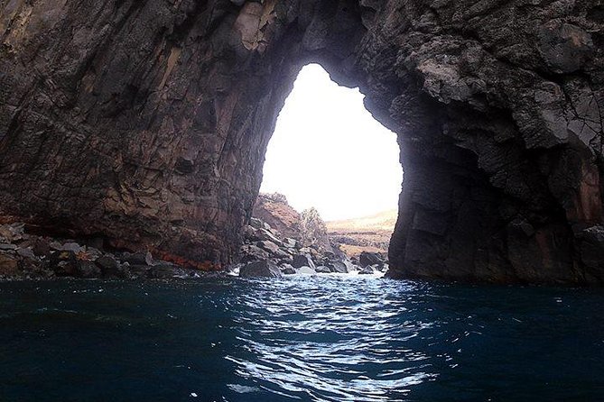 Half Day Kayak Tours - Guide Experience