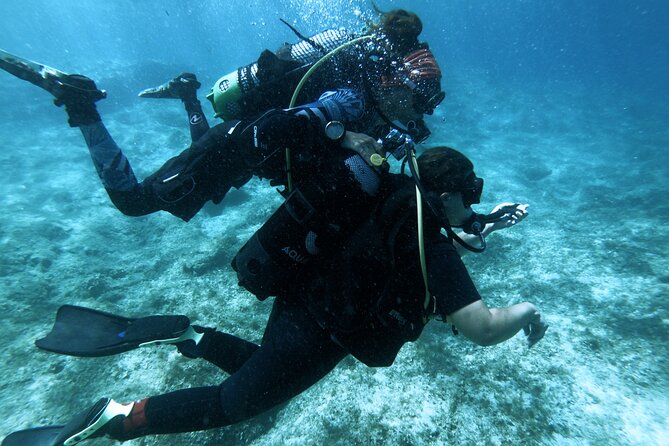 Half-Day Scuba Diving Discovery - Preparing for Your Dive