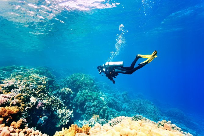 Half-day Scuba Diving Experience in Oludeniz - Meeting Point and Logistics