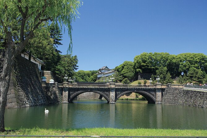 Half-day Tokyo Morning Tour by Hato Bus - Customer Feedback and Recommendations