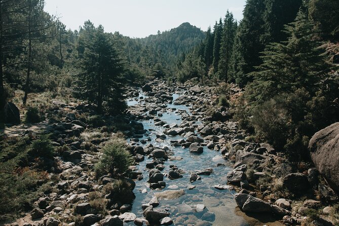 Hidden Gems of Peneda-Gerês National Park on a Full-Day Tour - Adaptable Hiking Options