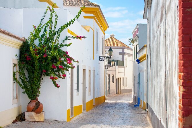 Highlights & Hidden Gems of Faro Review - Learning About Faros Maritime History at the Ria Formosa Natural Park