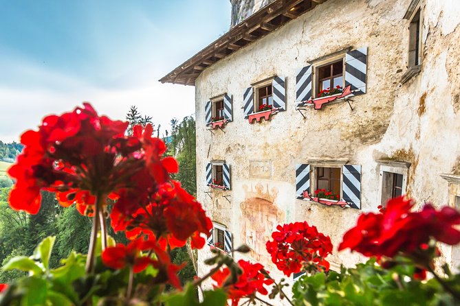 Highlights of Slovenia - Postojna & Bled (Tickets Included) - Traveler Experiences and Feedback