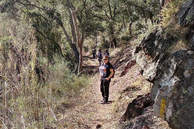 Hike the Cork Oak Trail and Try Some Delicious Cheese - Panoramic Views of the Valencia Countryside