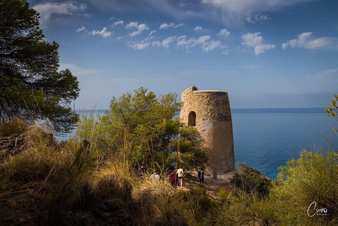 Hiking Natural Beaches & Snorkeling - Wildlife and Natural Landscapes