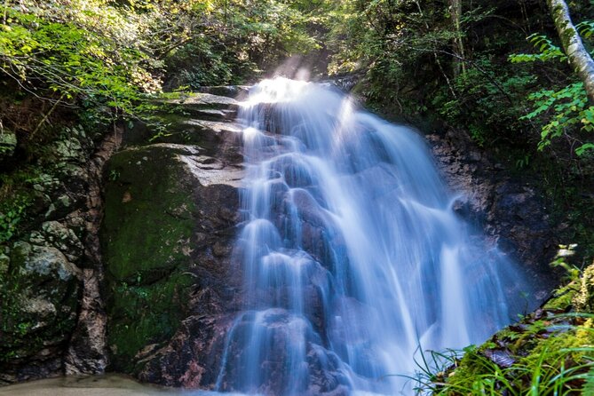 Hiking the Historic Nakasendo Trail- 1 Day Tour From Nagoya - Health and Accessibility Information