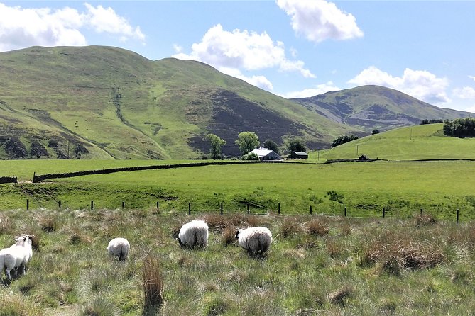 Hill & Nature Hike - Discover Real Edinburgh With a Local Expert - Snacks and Refreshments