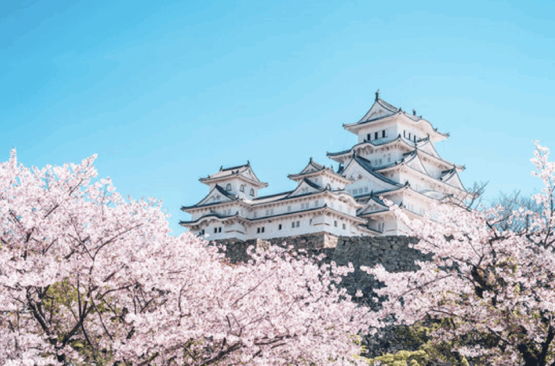 Himeji Private Custom Tour With Local Guide - Guided Experience
