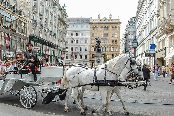 Hofburg Imperial Palace and Sisi Museum Skip the Line Tour - Tour Experience and Expectations