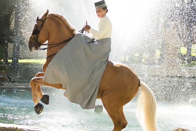 Horse and Flamenco Show in Malaga - The Performance Experience