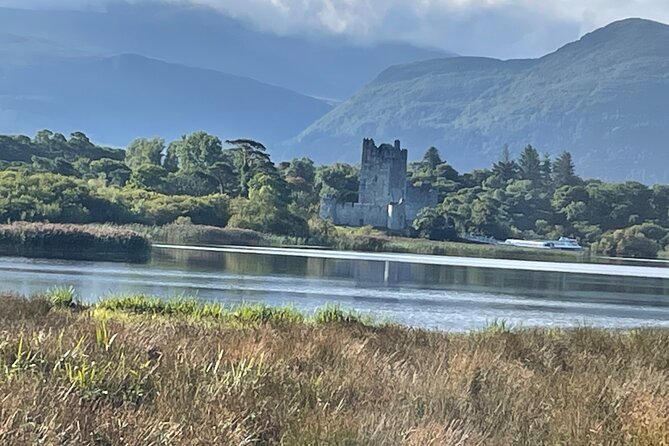 Horse-Drawn Carriage Tours in Killarney - Customer Reviews and Feedback