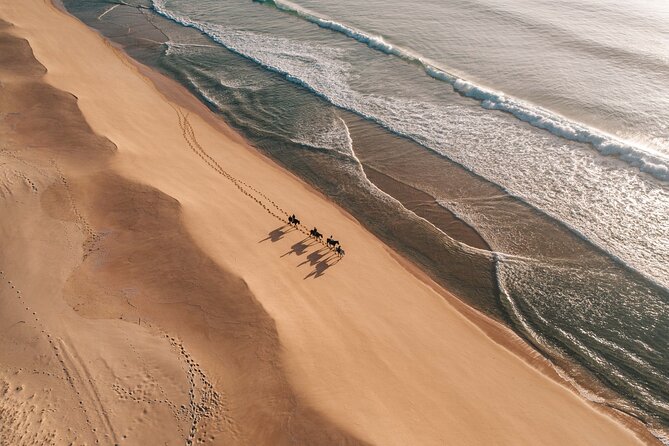Horse Riding on the Beach With Private Transfer From Lisbon - Preparing for the Weather: Tips and Recommendations