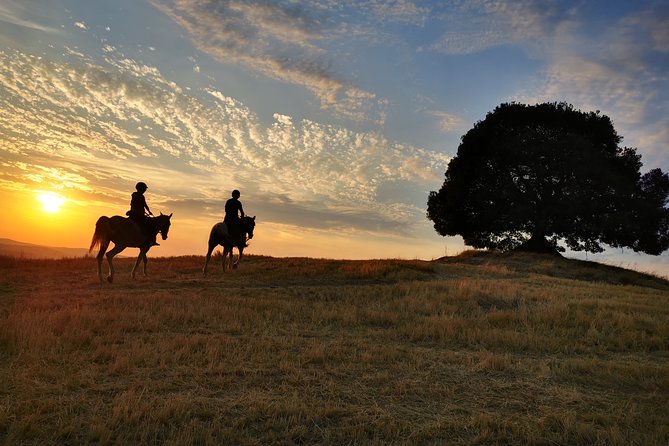 Horsebackriding - Explore Tuscan Nature - Customer Experiences and Reviews