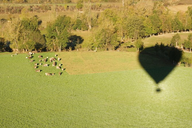 Hot Air Balloon Barcelona Flight - Inclusions and Amenities