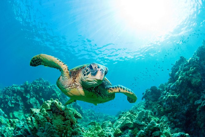 Hunstanton SEA LIFE Sanctuary General Admission Ticket - Amenities for Visitors
