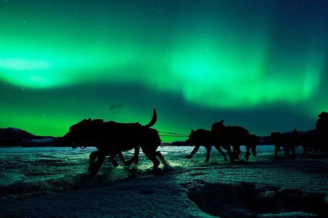 Hunting Northern Lights With Husky - Preparing for the Adventure: Gear and Attire