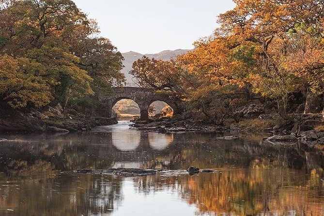 Innisfallen Island - Scenery & History of Killarney National Park - A Journey Through History
