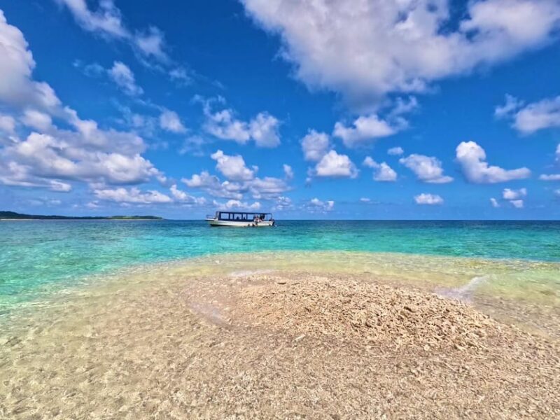 Iriomote Mangrove River Canoe and Snorkeling at Coral Island - Tour Details