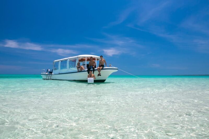 Ishigaki: Mangrove River Canoe + Phantom Island Snorkeling - Included Amenities