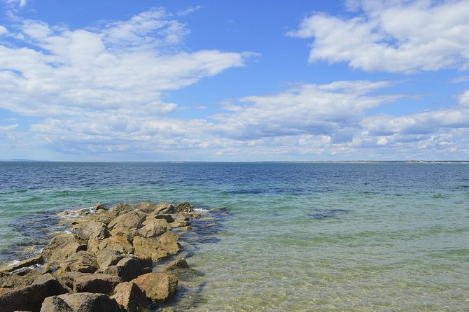 Isle of Wight - Day Tour From Brighton - Customer Reviews and Feedback