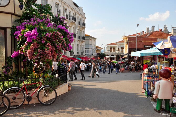 Istanbul Princes Island Tour With Lunch & Hotel Transfer - Transportation and Logistics